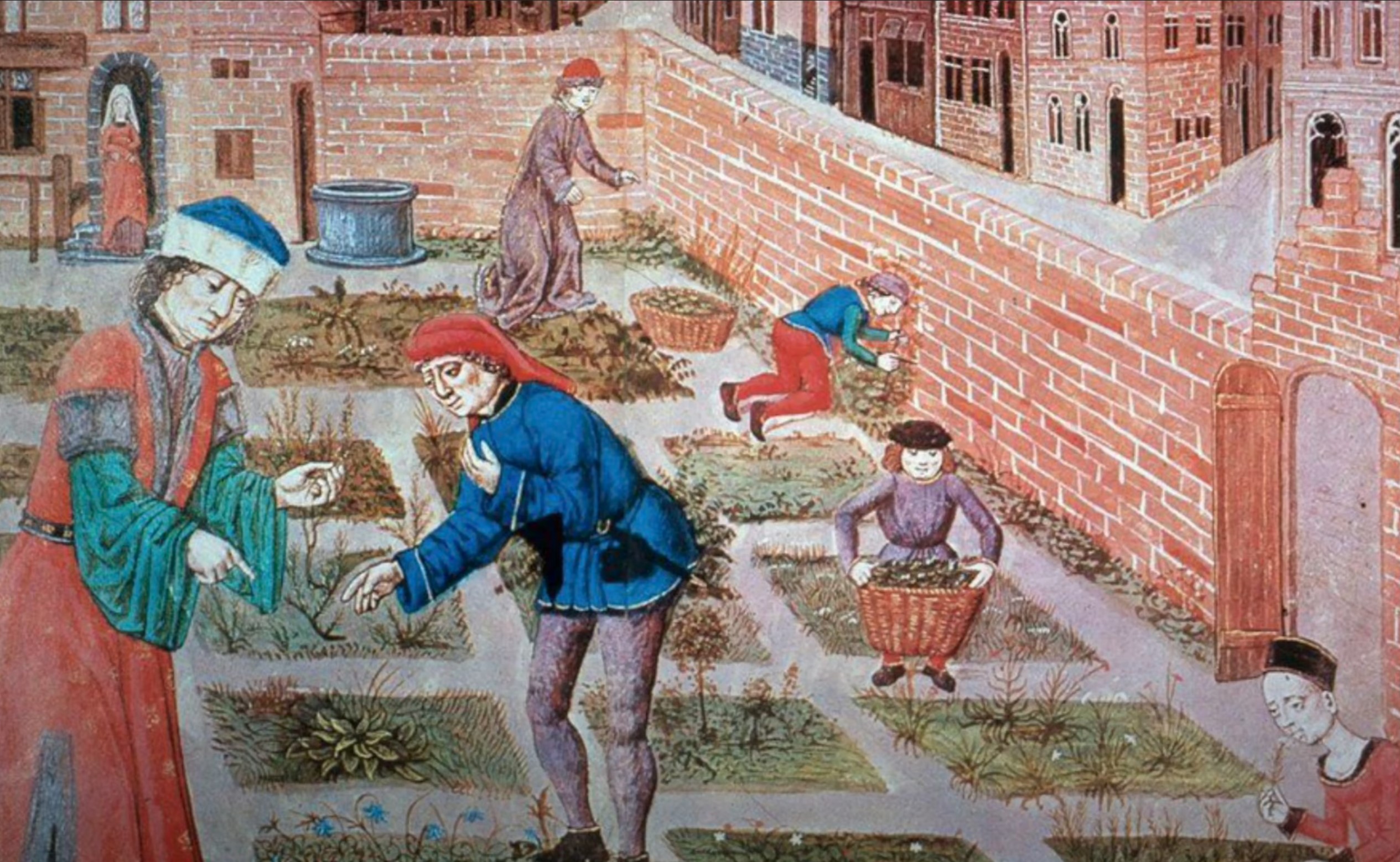 LE JARDIN DES SIMPLES AU MOYEN ÂGE - Master Parfums