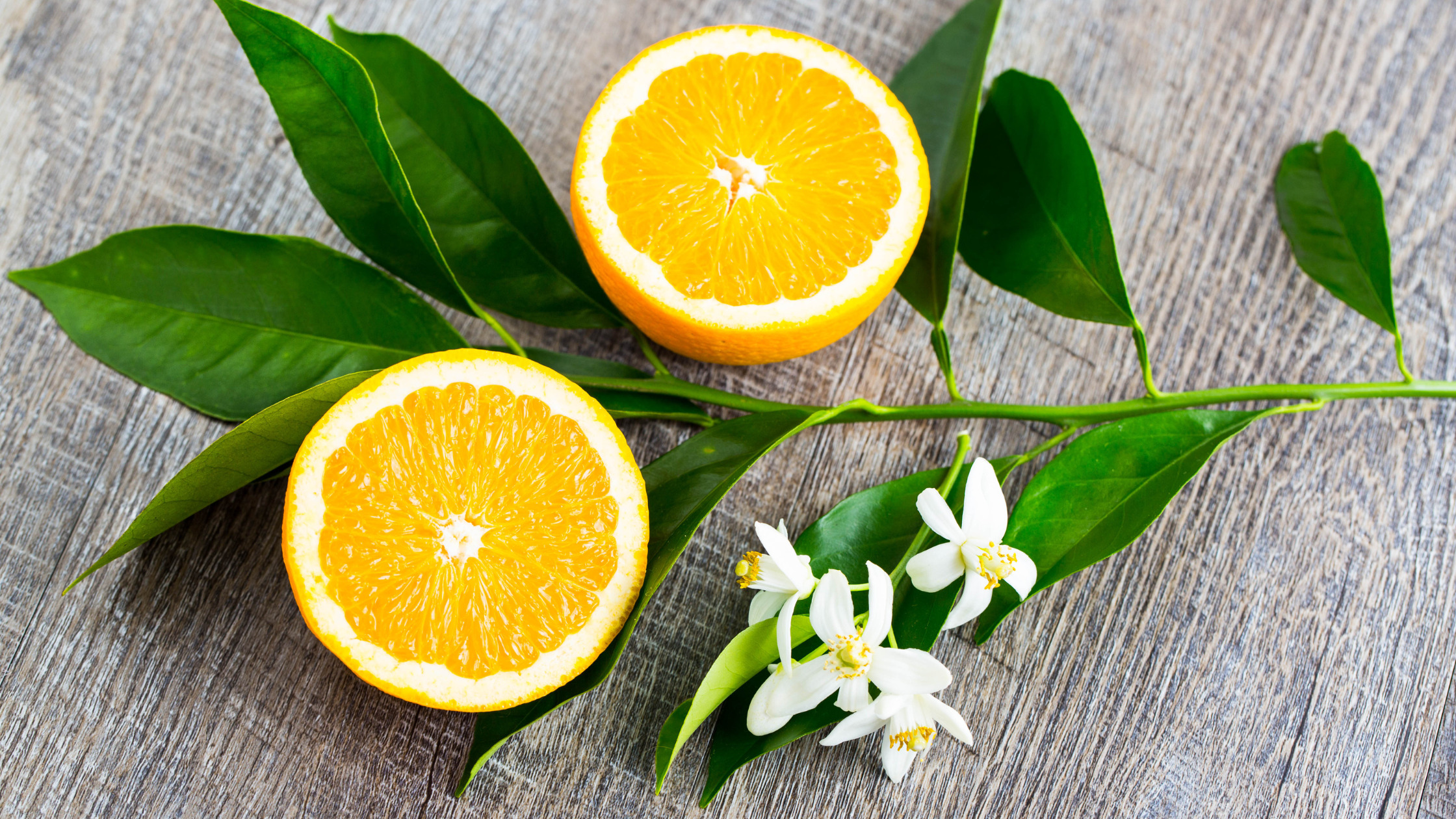 La fleur d'oranger en parfumerie - Master Parfums