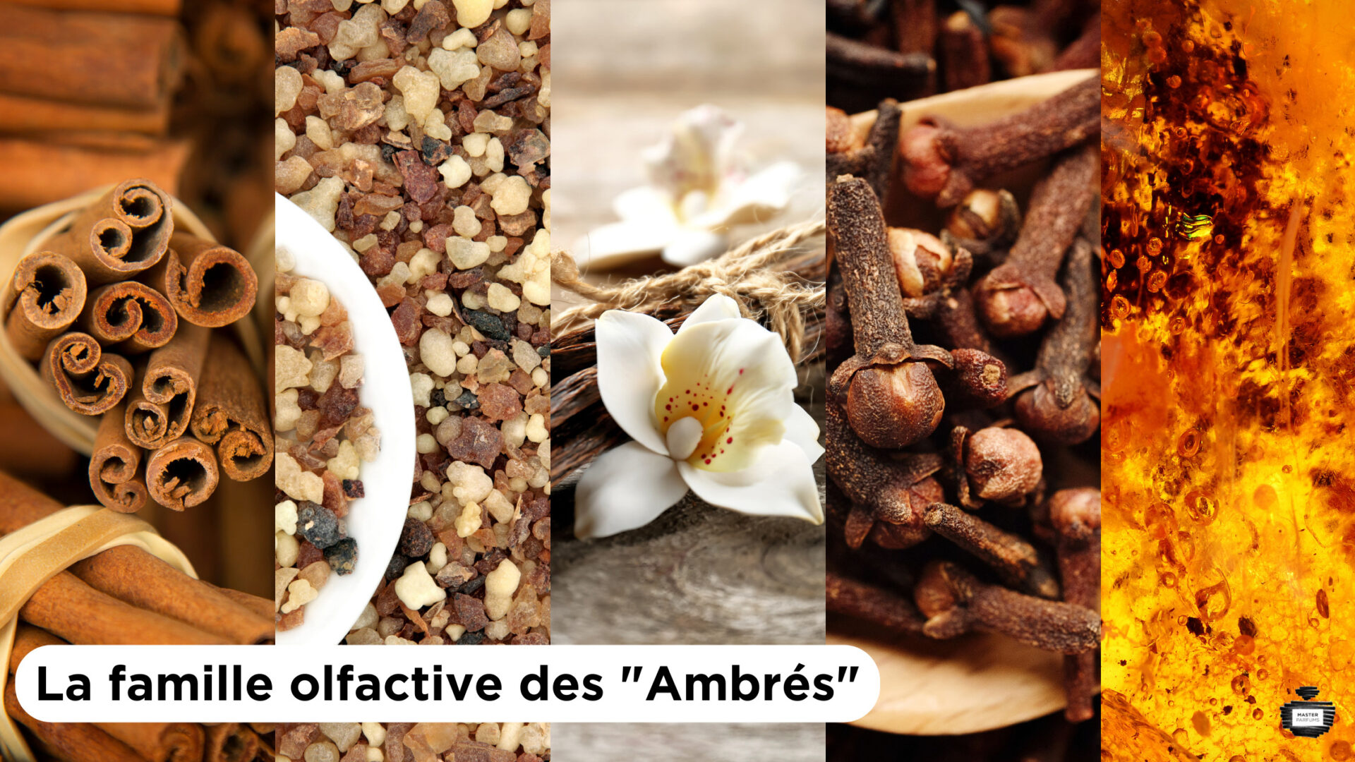 Les familles olfactives en parfumerie - Master Parfums