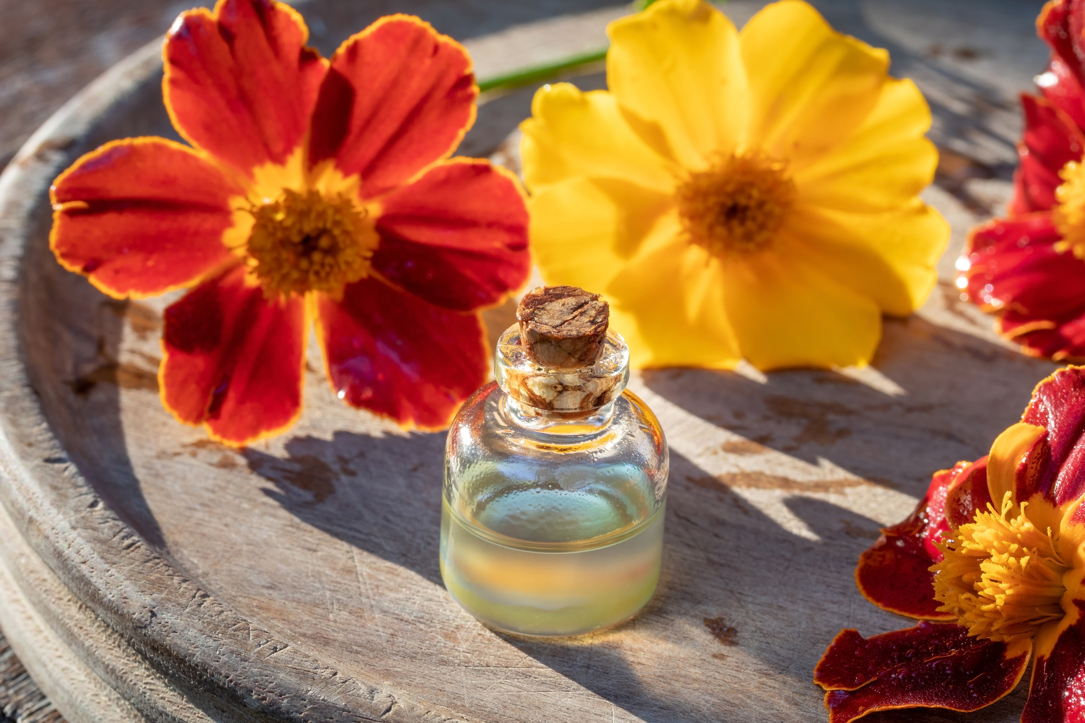 La parfumerie espagnole histoire et marques iconiques - Master Parfums