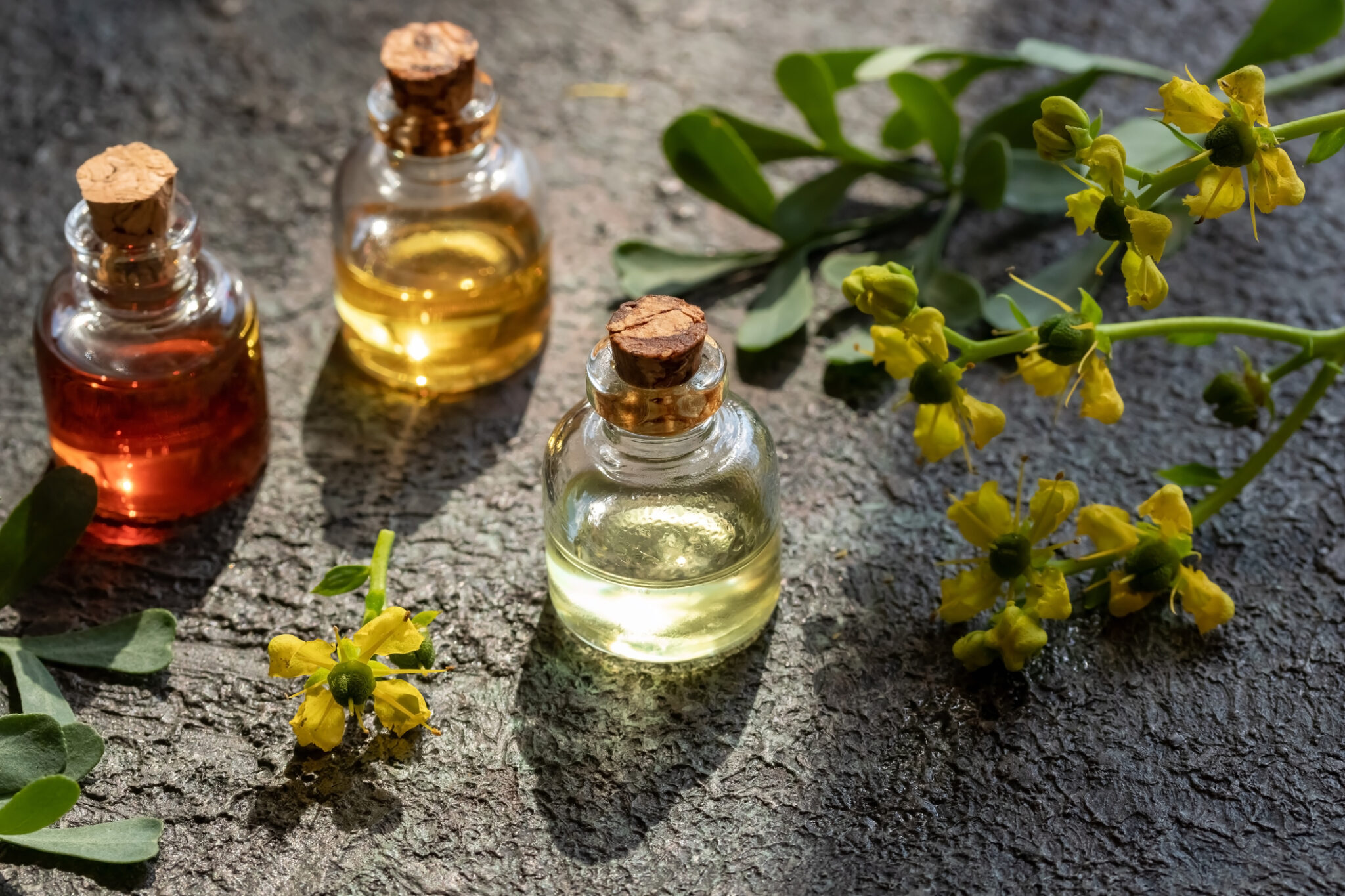 La parfumerie espagnole histoire et marques iconiques - Master Parfums